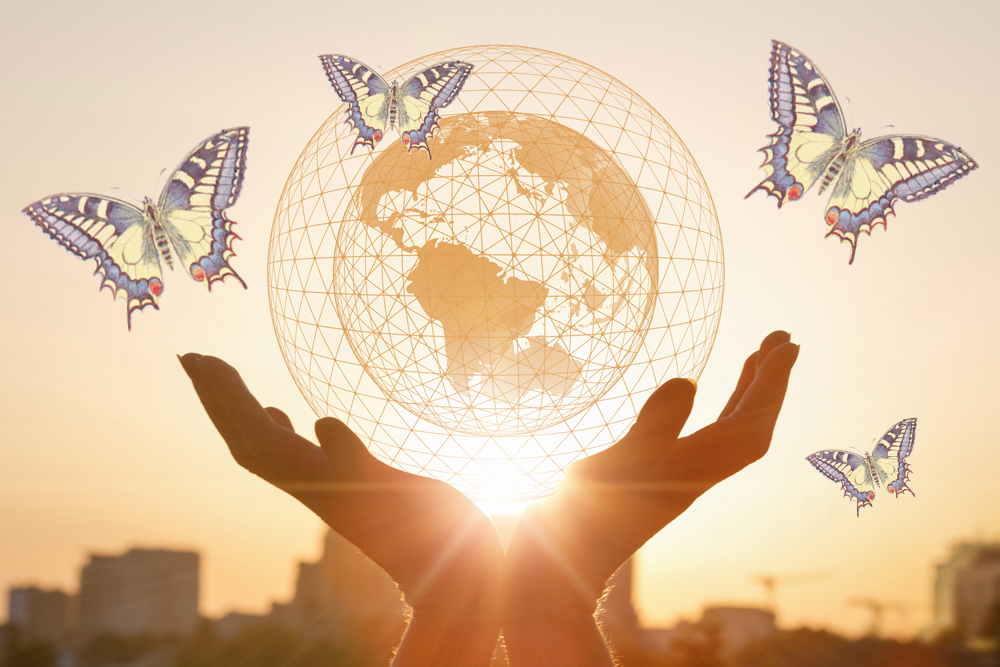 Our International Partners | MacKillop Seasons